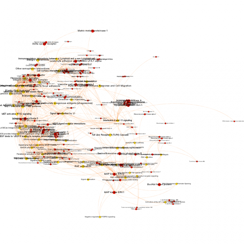 BrCa Pathways Analysis