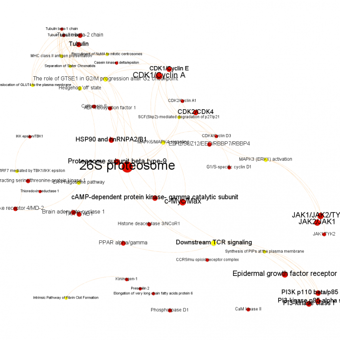 Cytotoxicity: Pathways Analysis