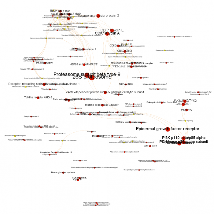 Cytotoxicity: Pathways Analysis