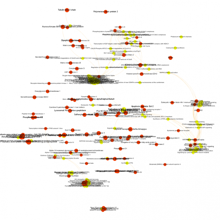 Cytotoxicity: Pathways Analysis