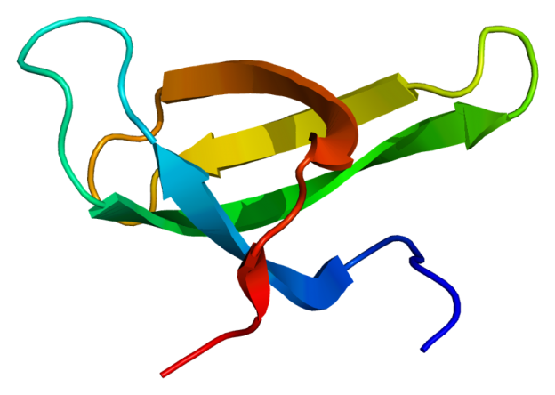 SMN2: Prediction of Activity