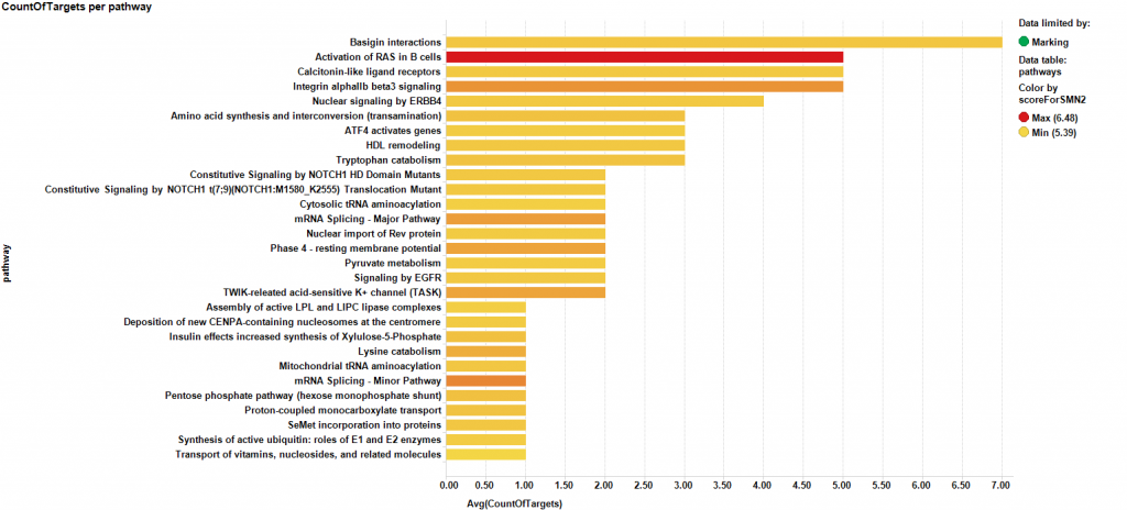 SMN2: Pathway Analysis