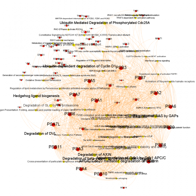 SMN2: Pathway Analysis