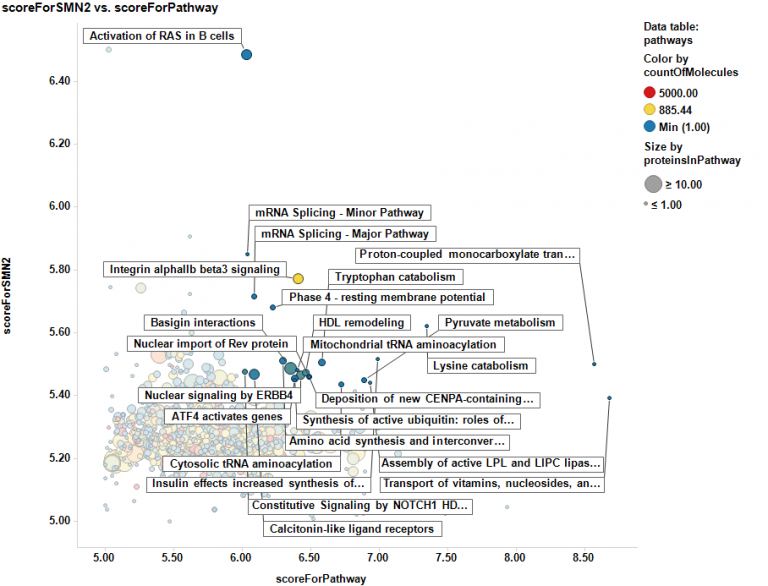 SMN2: Pathway Analysis