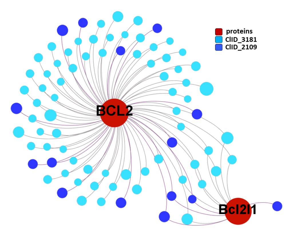Molecules Interacting With Apoptosis Regulator Bcl2