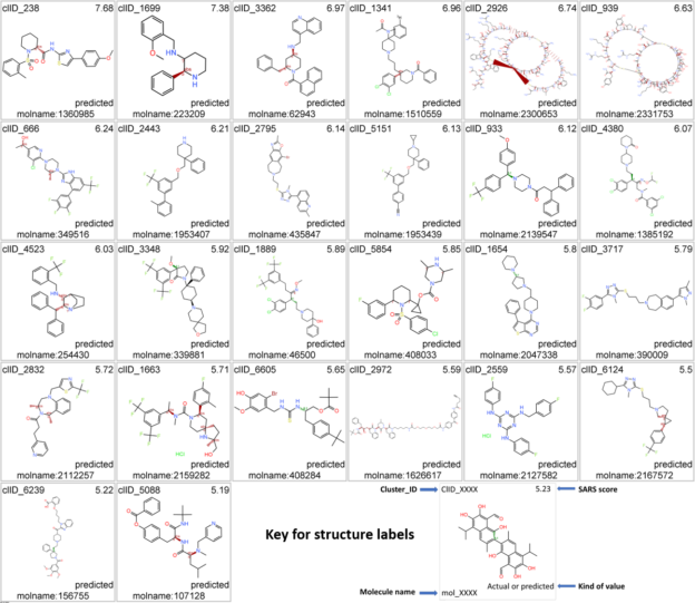 Molecules interacting with ion channels and related proteins.