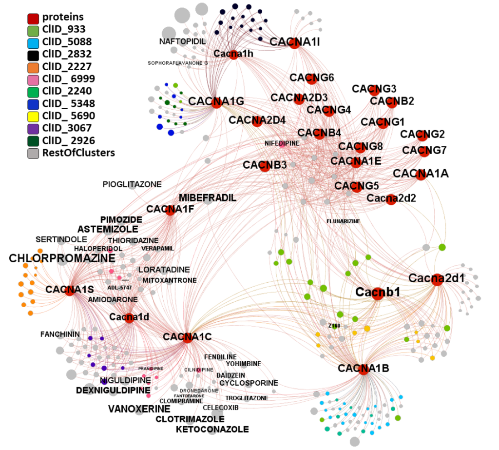 Molecules interacting with ion channels and related proteins.