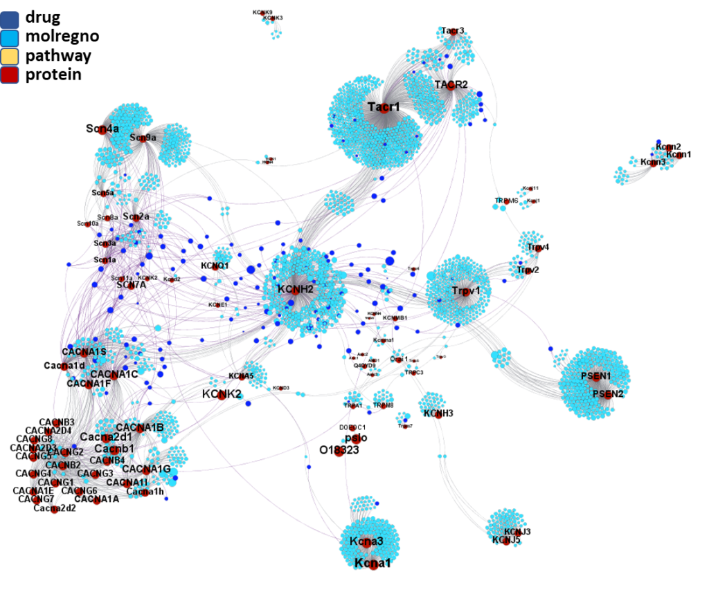 Molecules interacting with ion channels and related proteins.