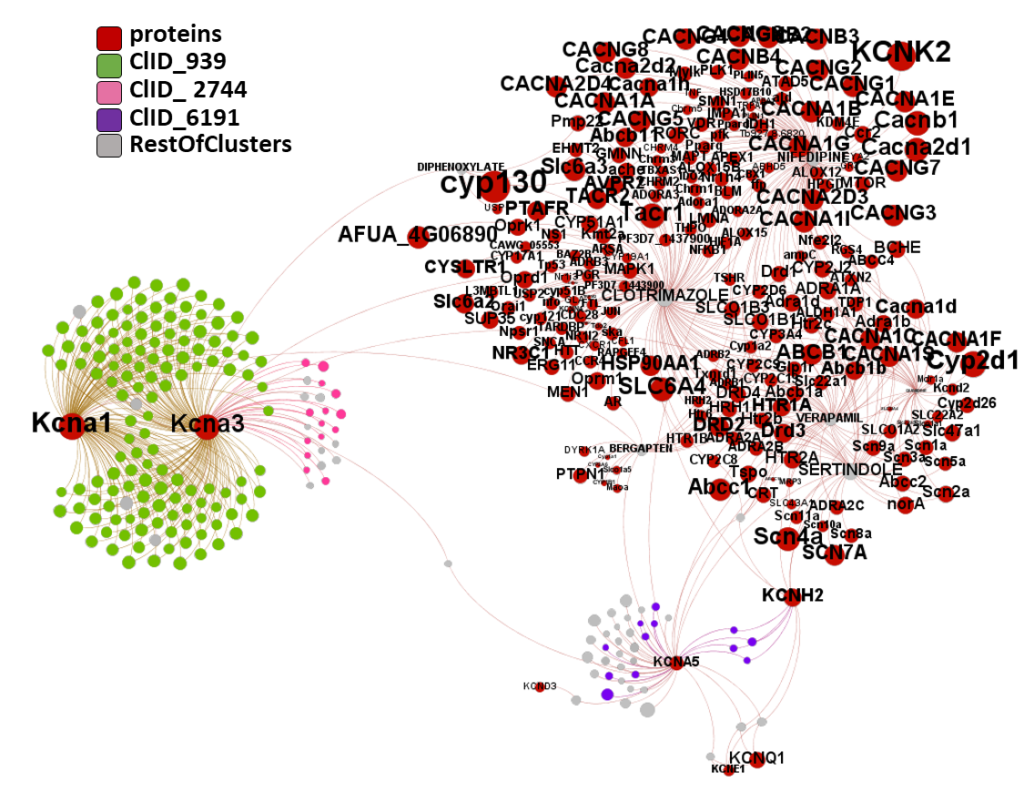 Molecules interacting with potassium channels