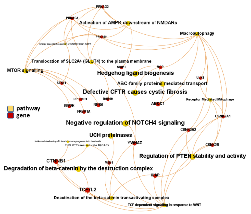 SARS coronavirus. Viral and host pathways analyis