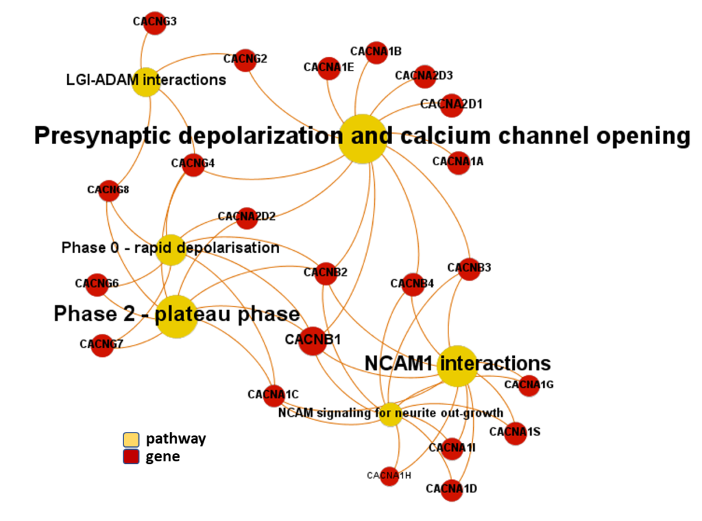 SARS coronavirus. Viral and host pathways analyis