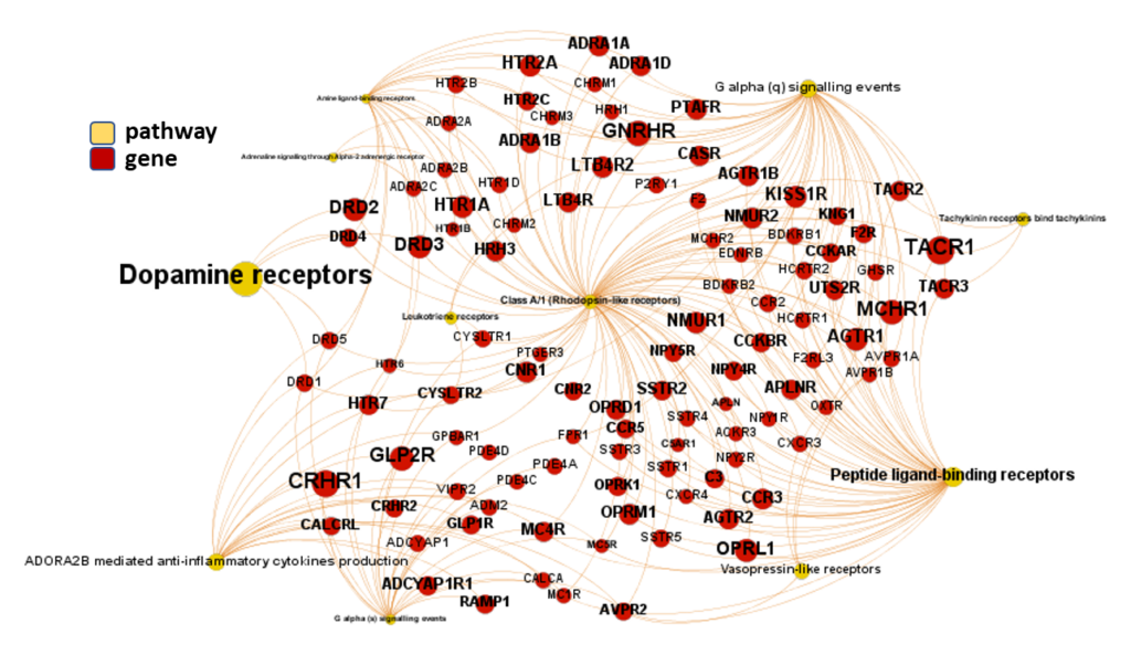 SARS coronavirus. Viral and host pathways analyis