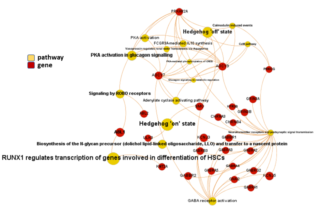 SARS coronavirus. Viral and host pathways analyis
